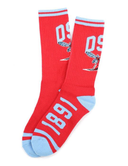Delaware State University Socks