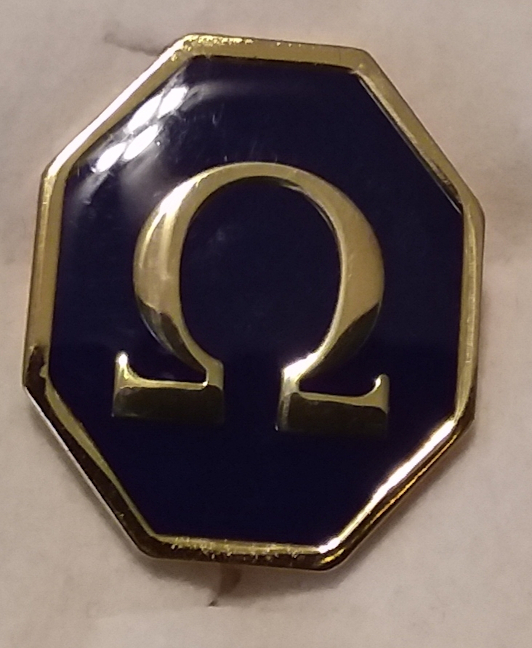 Omega Symbol Lapel Pin