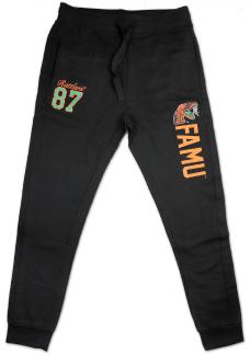 Florida A&M Univeristy Merchandise, Apparel, and Accessories, FAMU ...