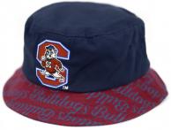 South Carolina State University (SCSU) Merchandise, Apparel, and ...